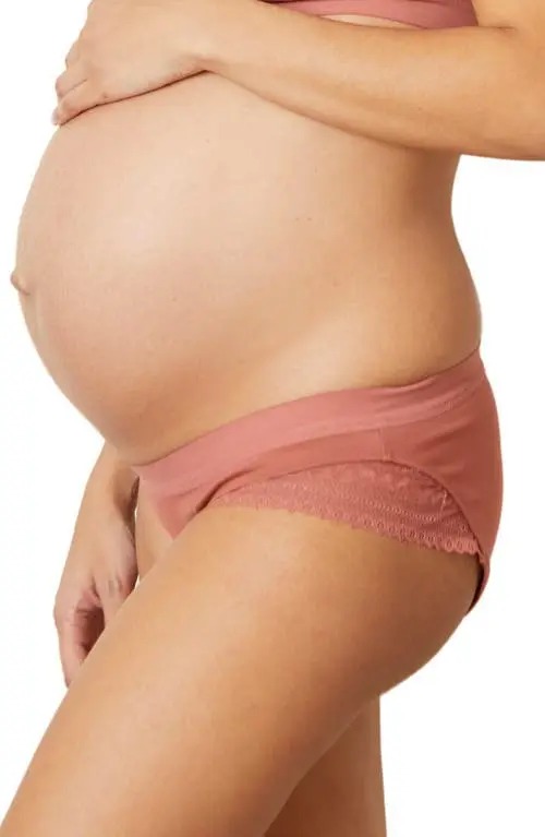 CACHE COEUR Serena Maternity Shorty - Terracotta