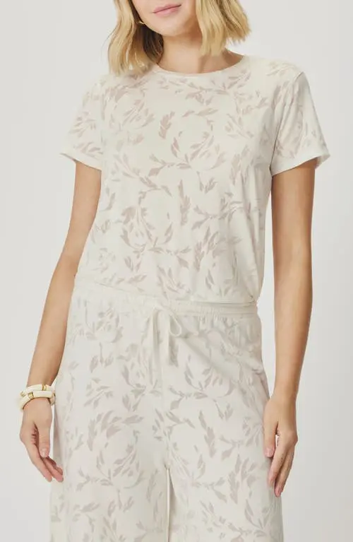 Splendid Air Burnout T-shirt - Shell Windswept