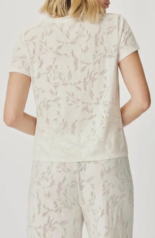 Splendid Air Burnout T-shirt - Shell Windswept