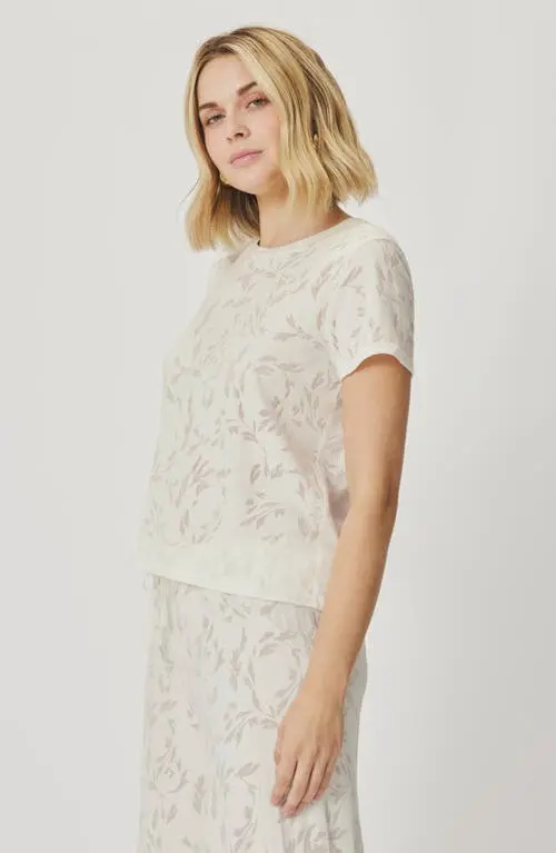 Splendid Air Burnout T-shirt - Shell Windswept