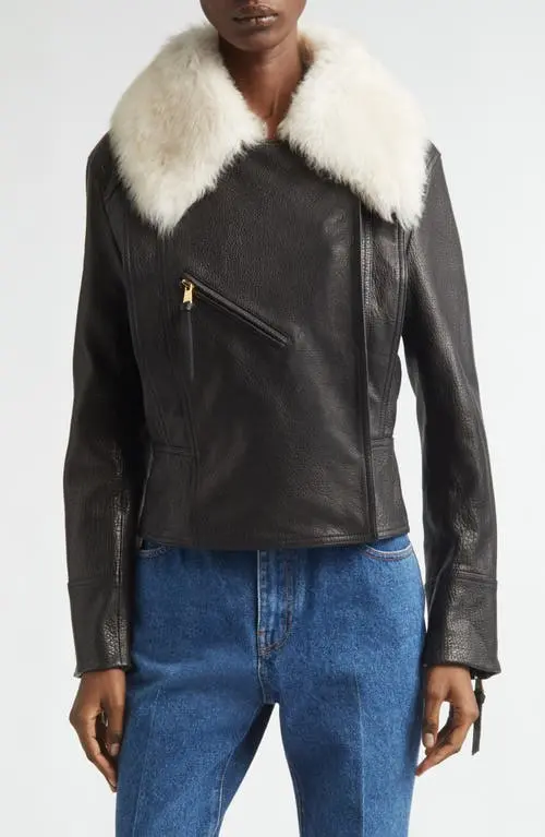 Balmain Shearling Collar Leather Biker Jacket - Ecru/jet Black/natural