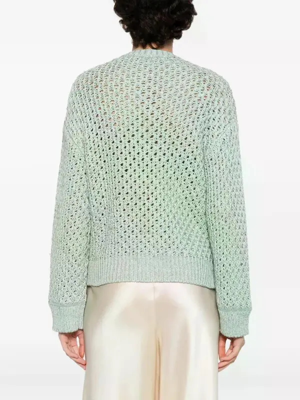 Fabiana Filippi Openwork Knit V-neck Sweater