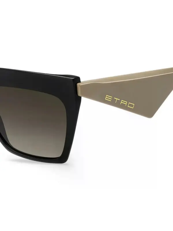 Etro Tinted Lenses Sunglasses - Black