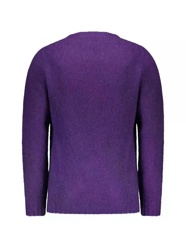 Fedeli Crew-neck Sweater - Purple