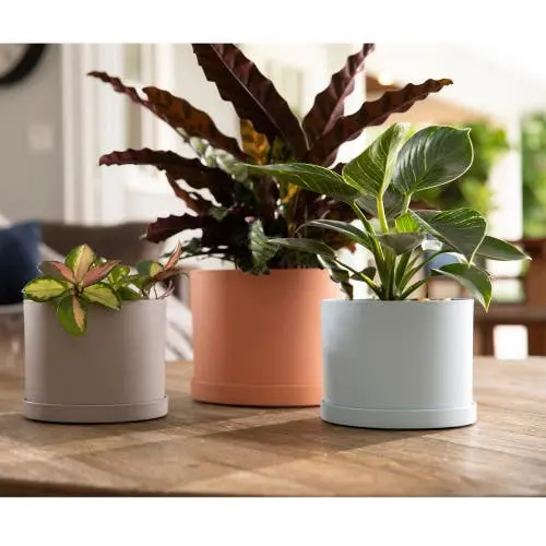 BLOEM Mathers Planter With Saucer Tray 8 Inch Misty