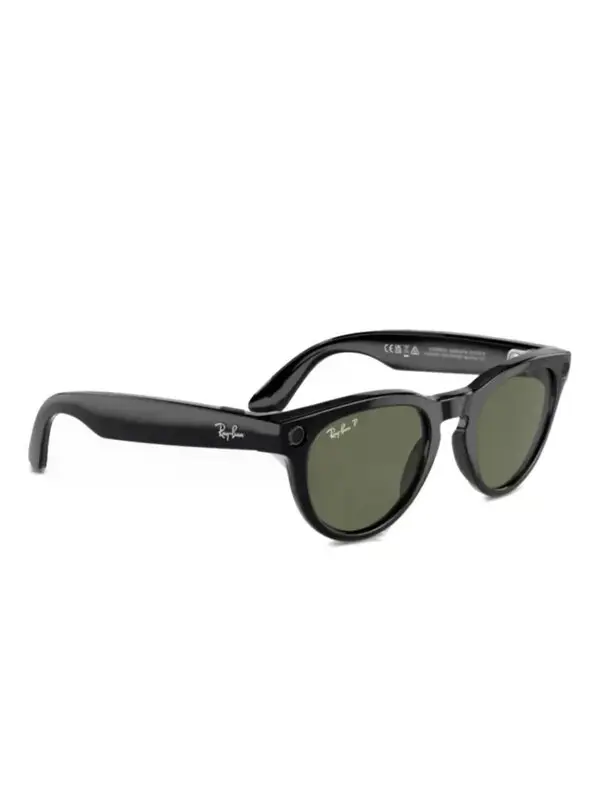 Ray-ban Pantos Frame Sunglasses
