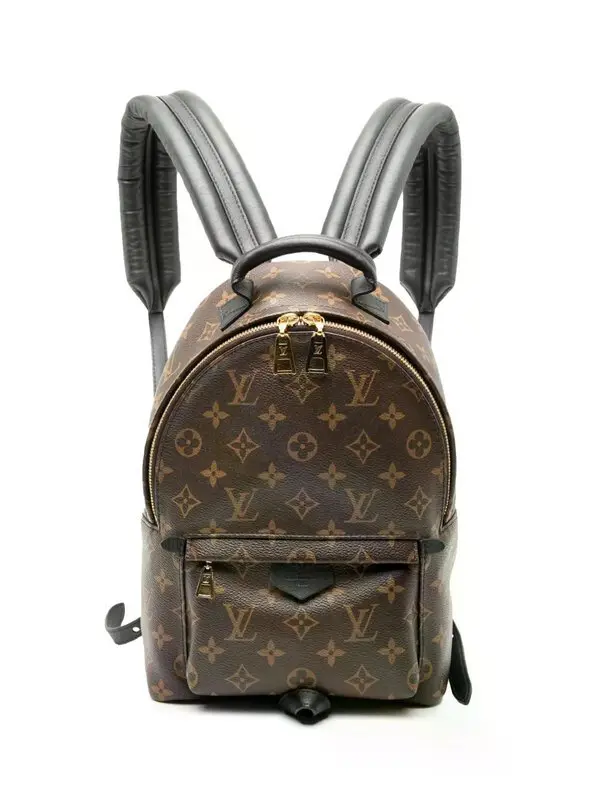 LOUIS VUITTON Monogram Palm Springs Pm Backpack - Brown