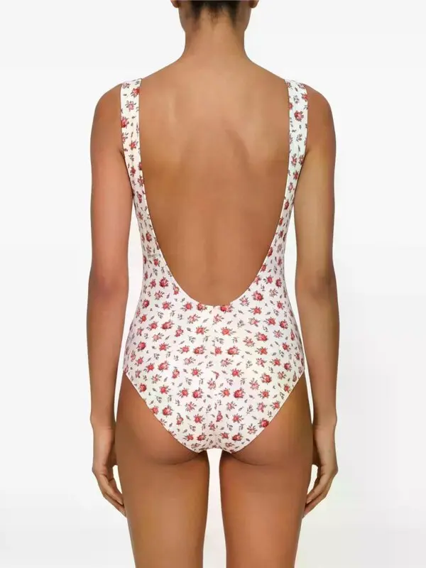 Dolce & Gabbana Floral-print One-piece Swimsuit