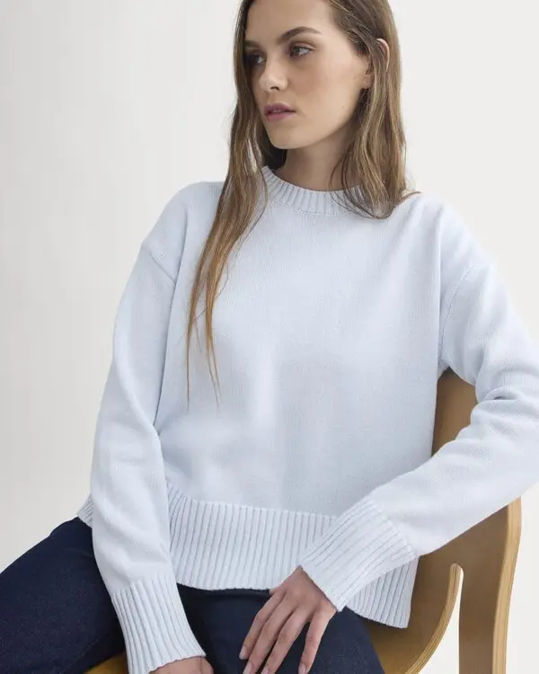 Everlane Boxy Organic Cotton Sweater - Skywriting