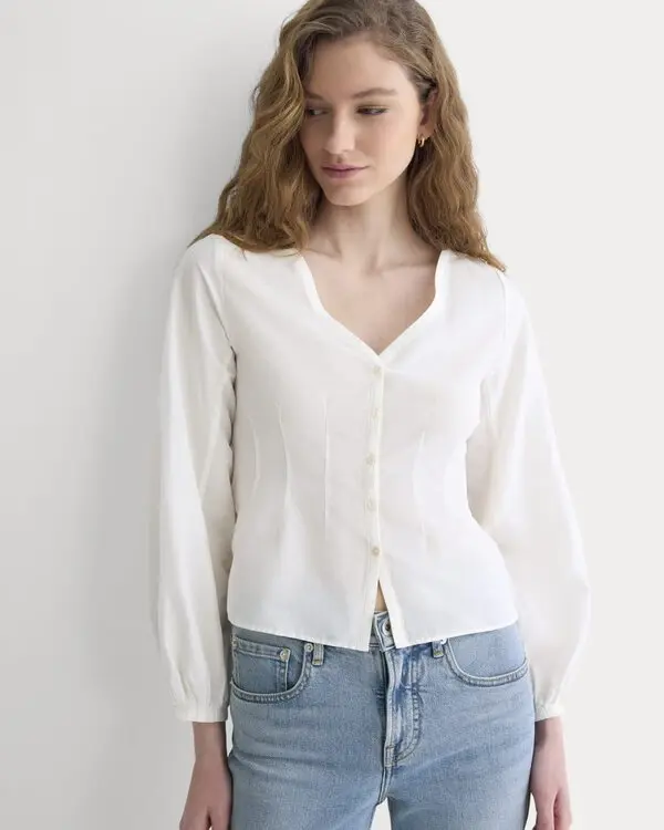 Everlane Balloon Sleeve V-neck Blouse