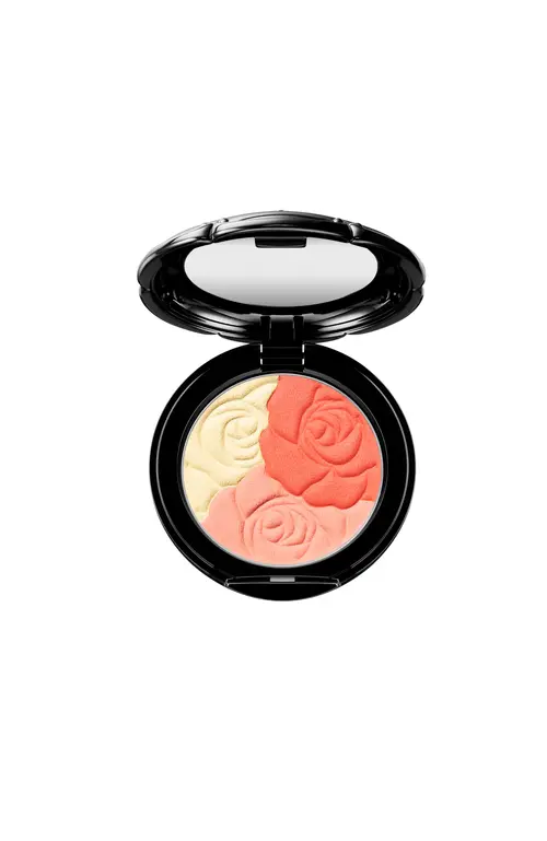 Anna Sui Rose Face Color - Fresh Honey Bouquet 05