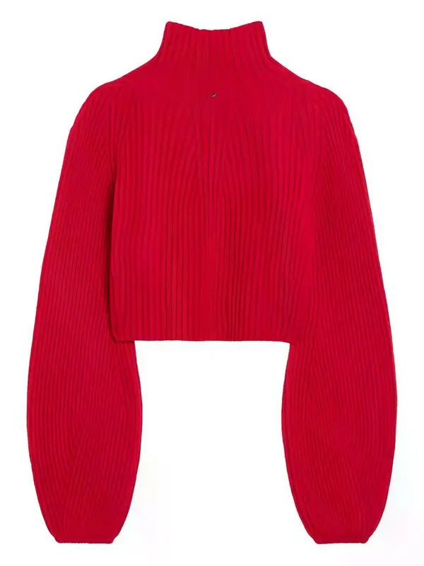 Sportmax Marmo Ribbed Turtleneck Sweater