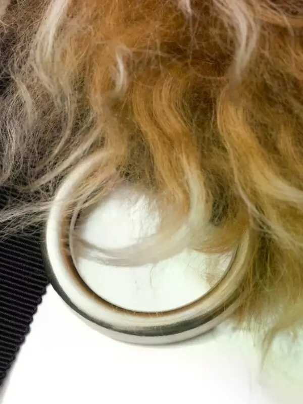 Prada Shearling Collar - Neutrals