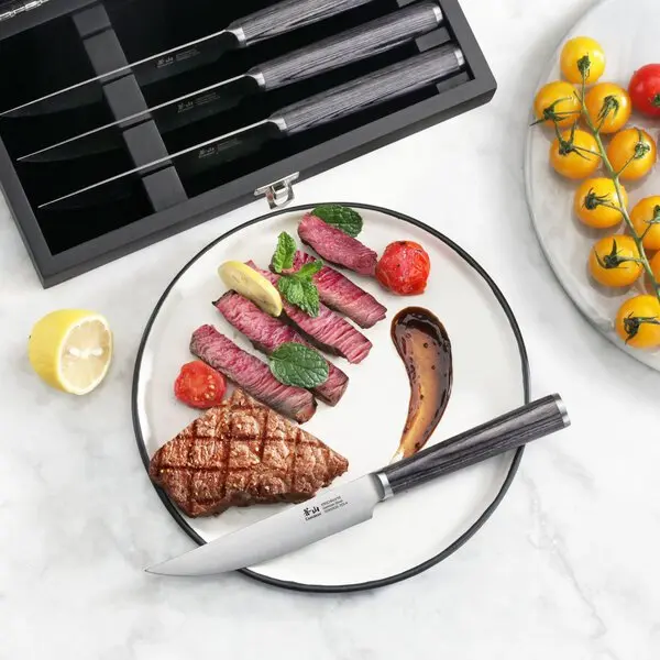 CANGSHAN 4 Piece Pakkawood Steak Knife Set