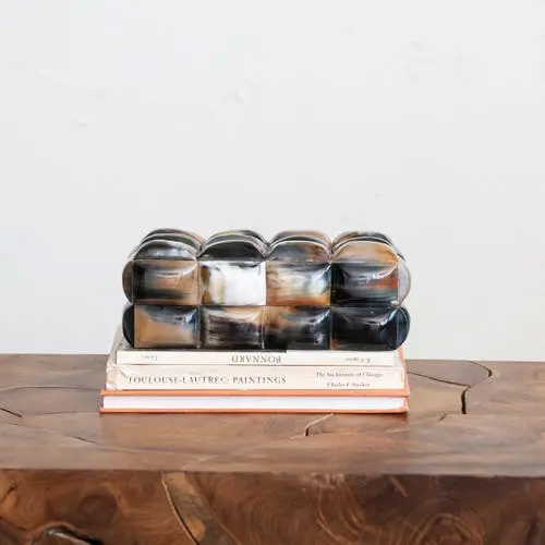 STORIED HOME Decorative Horn Bubble Storage Box