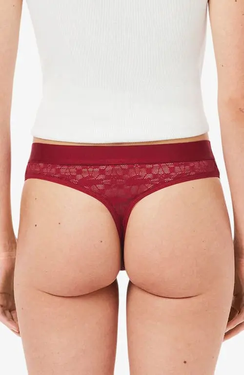 Lacoste Lace Thong - Bordeaux