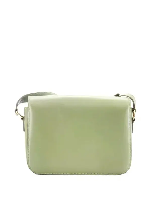 Celine Triomphe Shoulder Bag Smooth Calfskin - Green