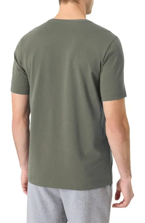 PACT Luxe Essential Classic Fit Crewneck Tee Made With Organic Cotton - Dusted Green