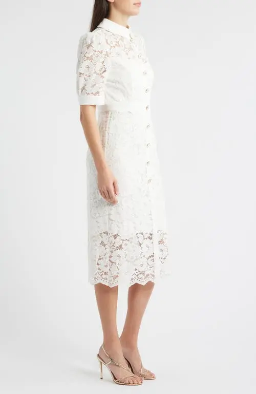 TAHARI ASL Crepe & Lace Shirtdress