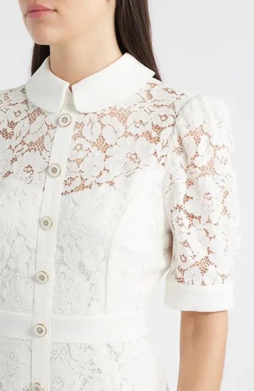 TAHARI ASL Crepe & Lace Shirtdress