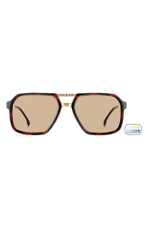 Carrera Eyewear Victory 59mm Photochromic Square Sunglasses - Red Havana/brw Ft Ar