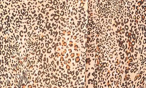 CECE DUPRAZ Leopard Print Chiffon Shirt