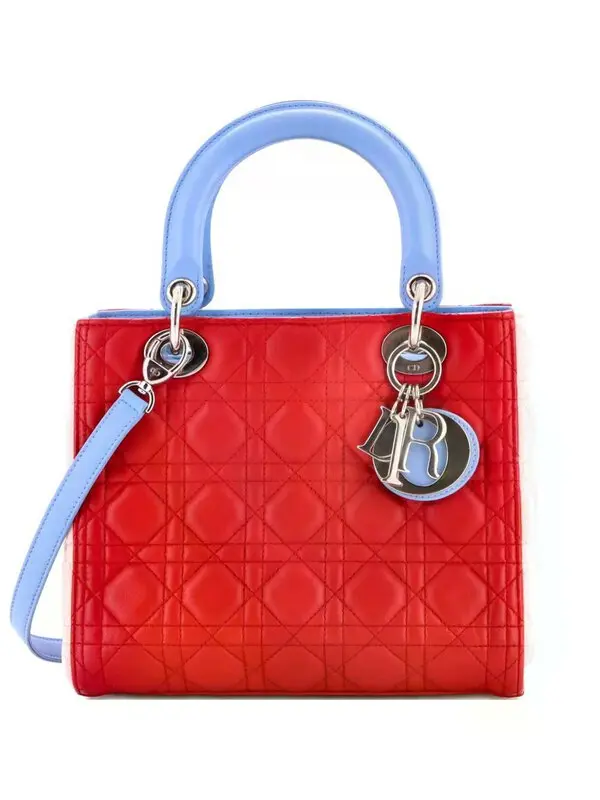 Dior Lady Medium Satchel Bag - Blue