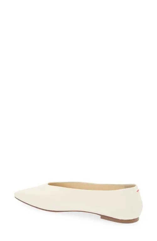 AeydĒ Betty Pointed-toe Flat