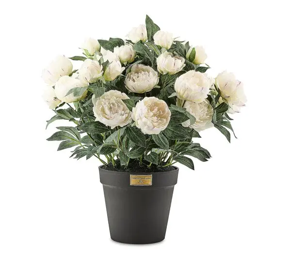 MACKENZIE-CHILDS Peony Urn Filler - One-color