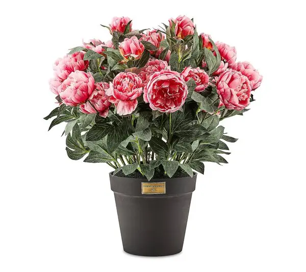 MACKENZIE-CHILDS Peony Urn Filler