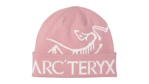 Arc'teryx Bird Word Toque Beanie - Bliss/arctic Silk