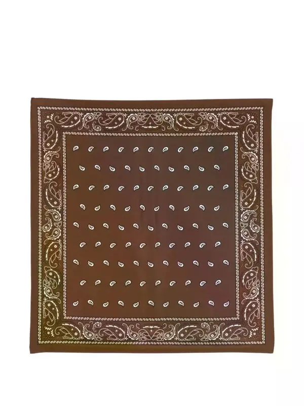 P.a.r.o.s.h Paisley-print Scarf - Brown