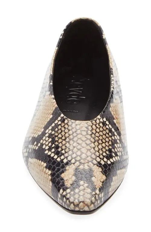 AeydĒ Betty Pointed-toe Flat