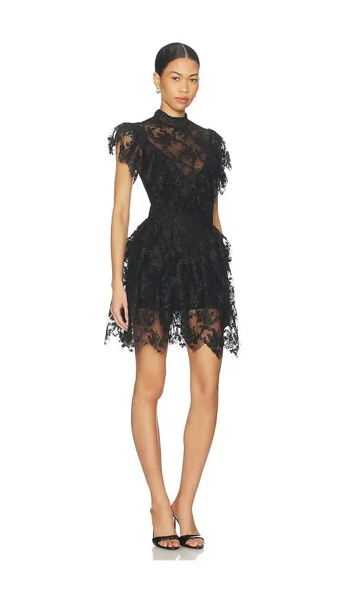 Bardot Tarryn Ruffle Lace Mini Dress