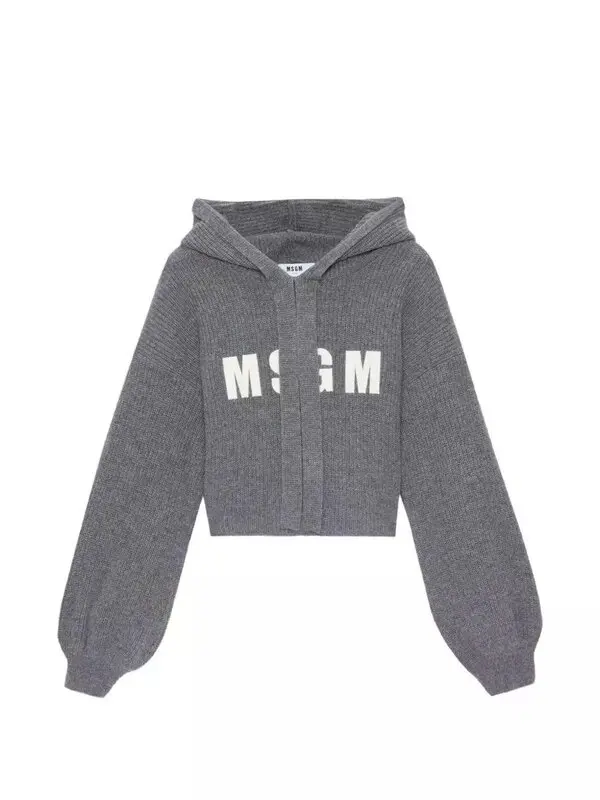 MSGM Logo-lettering Hoodie