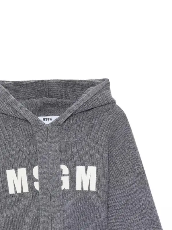 MSGM Logo-lettering Hoodie