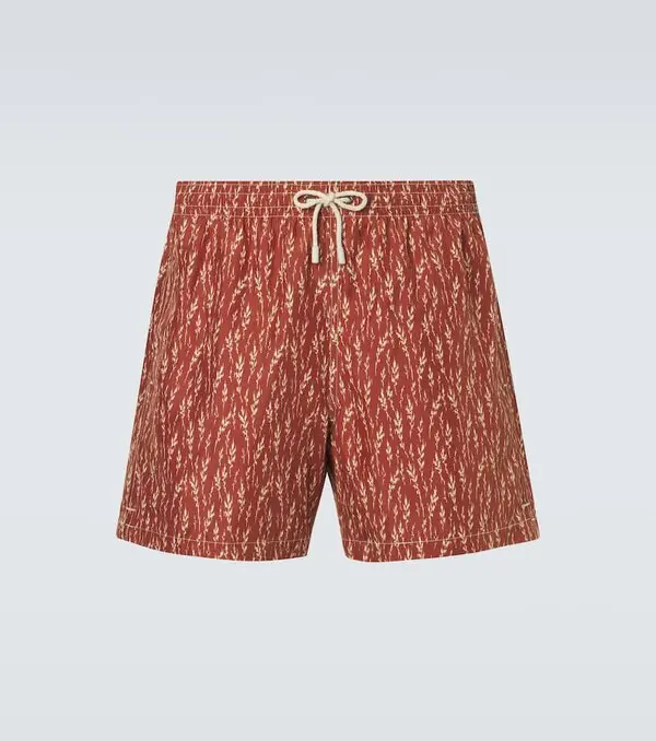 Canali Printed Swim Trunks - Brown