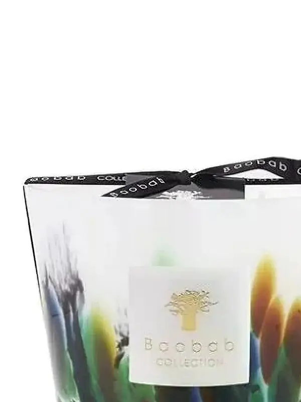 BAOBAB COLLECTION Max 10 Rainforest Amazonia Candles