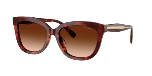 COACH Sunglasses - Brown Gradient