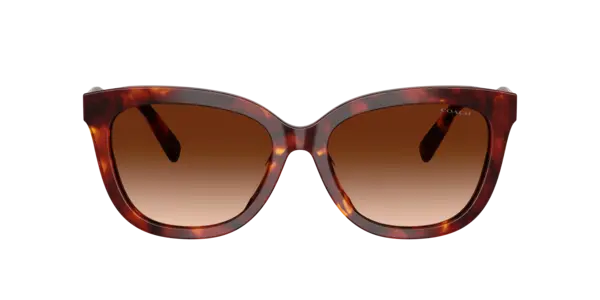 COACH Sunglasses - Brown Gradient
