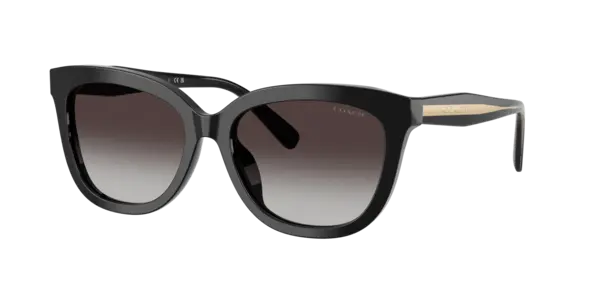 COACH Sunglasses - Grey Gradient