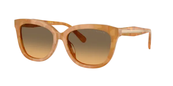 COACH Sunglasses - Olive