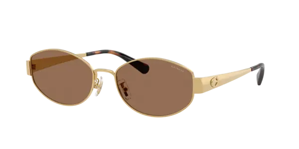 COACH Hc7192d Cdp44 Sunglasses - Dark Brown Solid