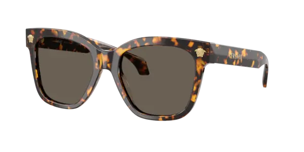 Versace Full Rim Sunglasses - Brown