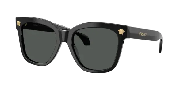 Versace Full Rim Sunglasses - Dark Grey