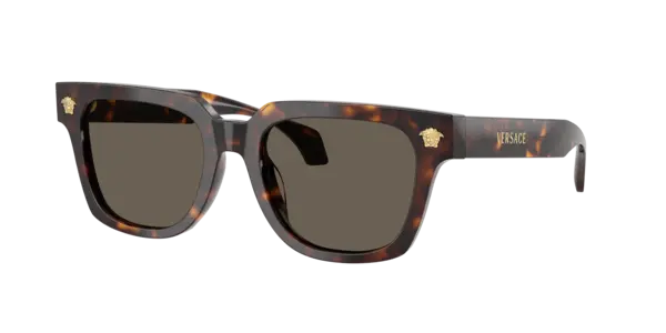 Versace Ve4510u Sunglasses - Brown