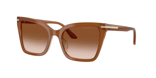 Emporio Armani Sunglasses - Brown Gradient