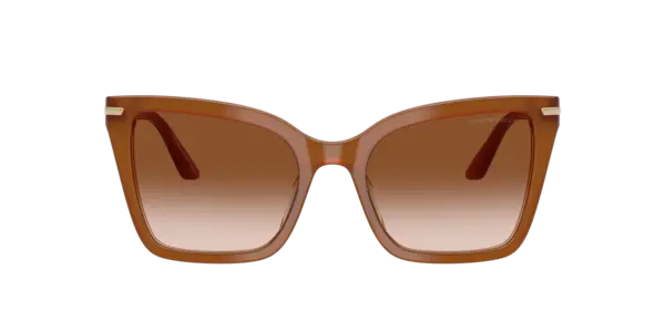 Emporio Armani Sunglasses - Brown Gradient