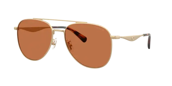 COACH Hc7190 Sunglasses - Amber Solid