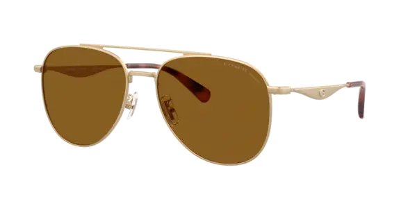 COACH Hc7190 Sunglasses - Brown Solid Polarized